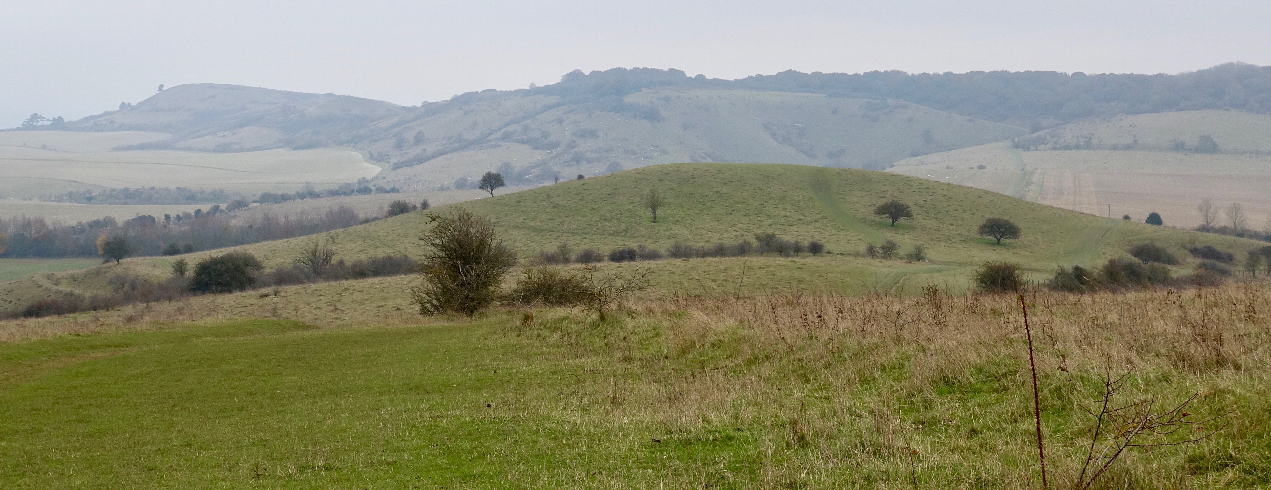 ‘Chilterns’ walk – The Ridgeway and woods – Walking, hills, pics and things